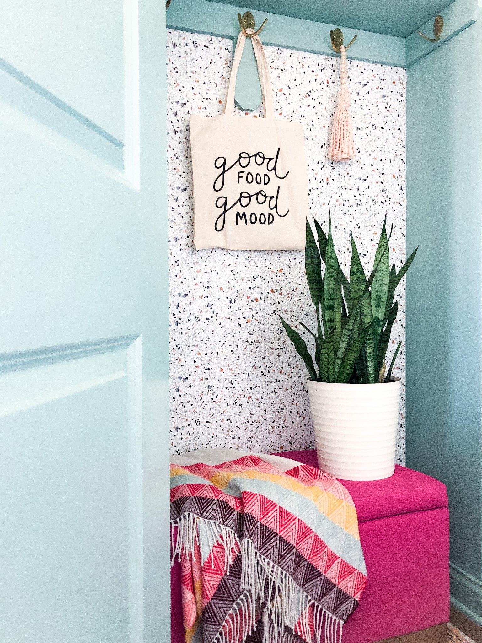 Top 5 Houseplants for Beginners | Plants | Hilary Prall