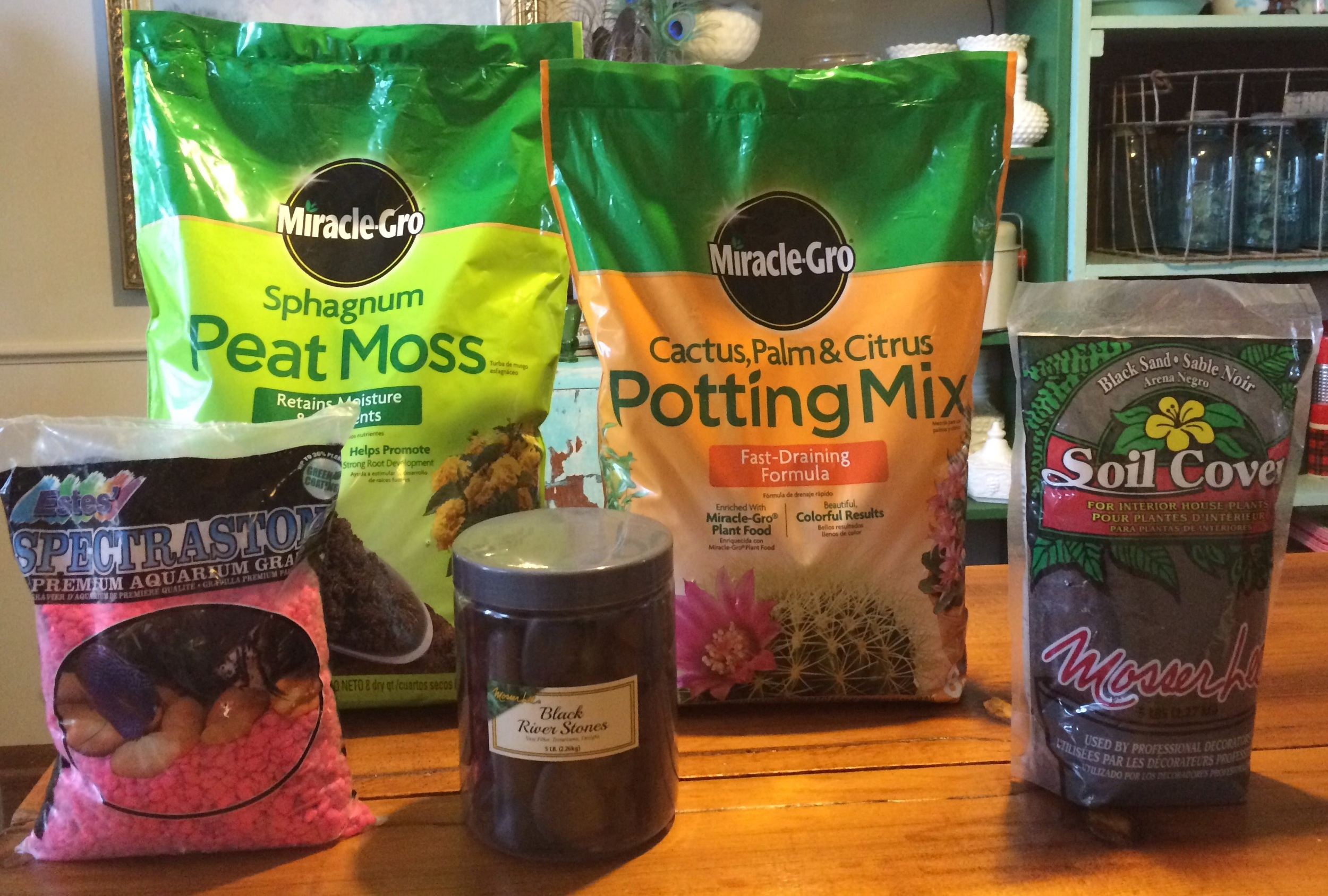 The Bloom Bloom Room | Interior | Hilary Prall