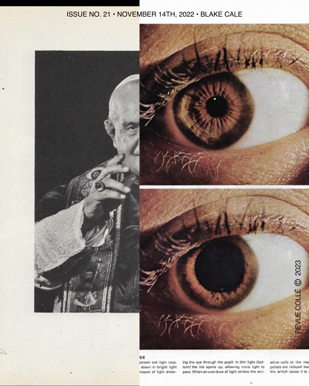 ISSUE NO. 21 - Blake Cale | Collé