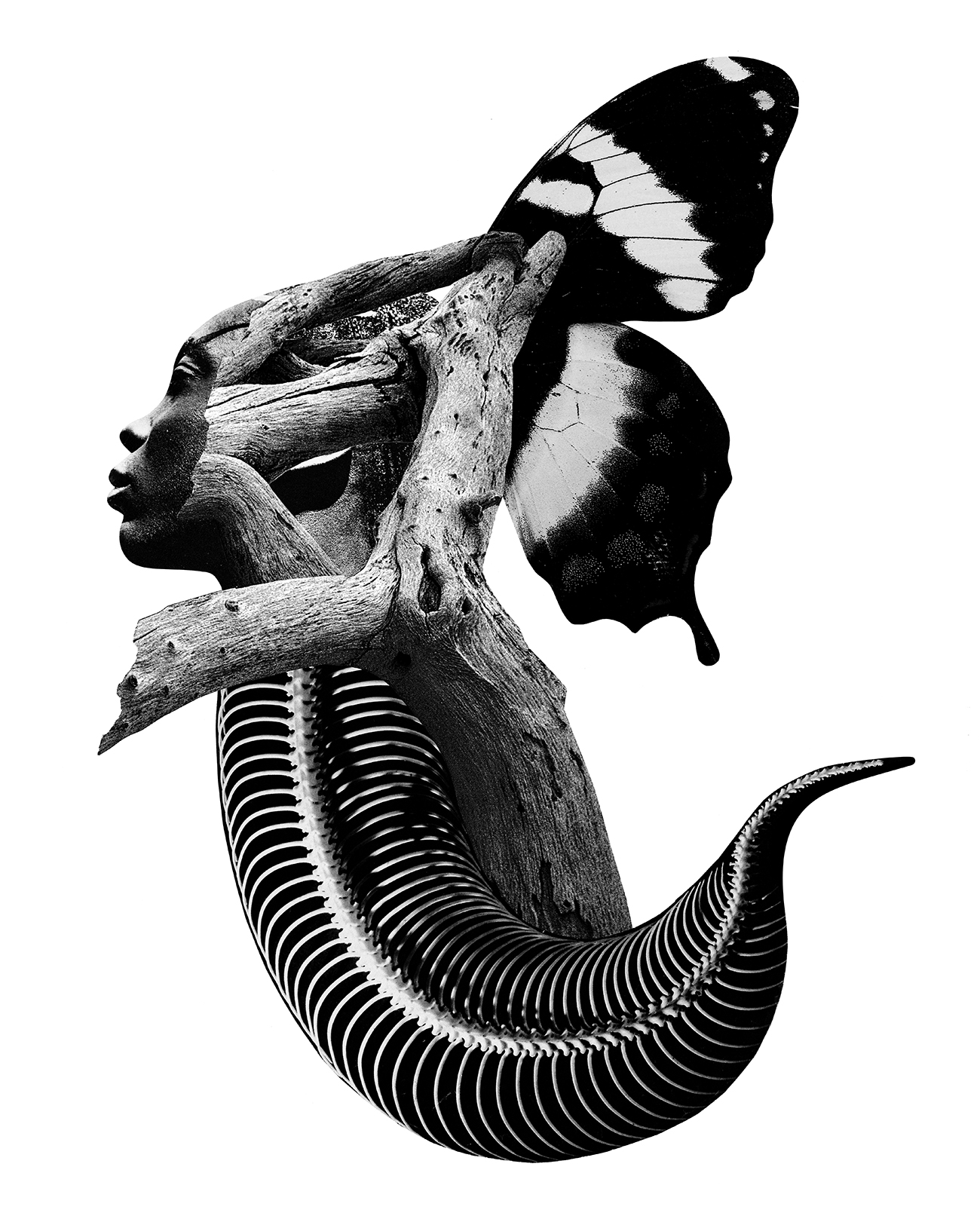 Rebeka Elizegi | Collé