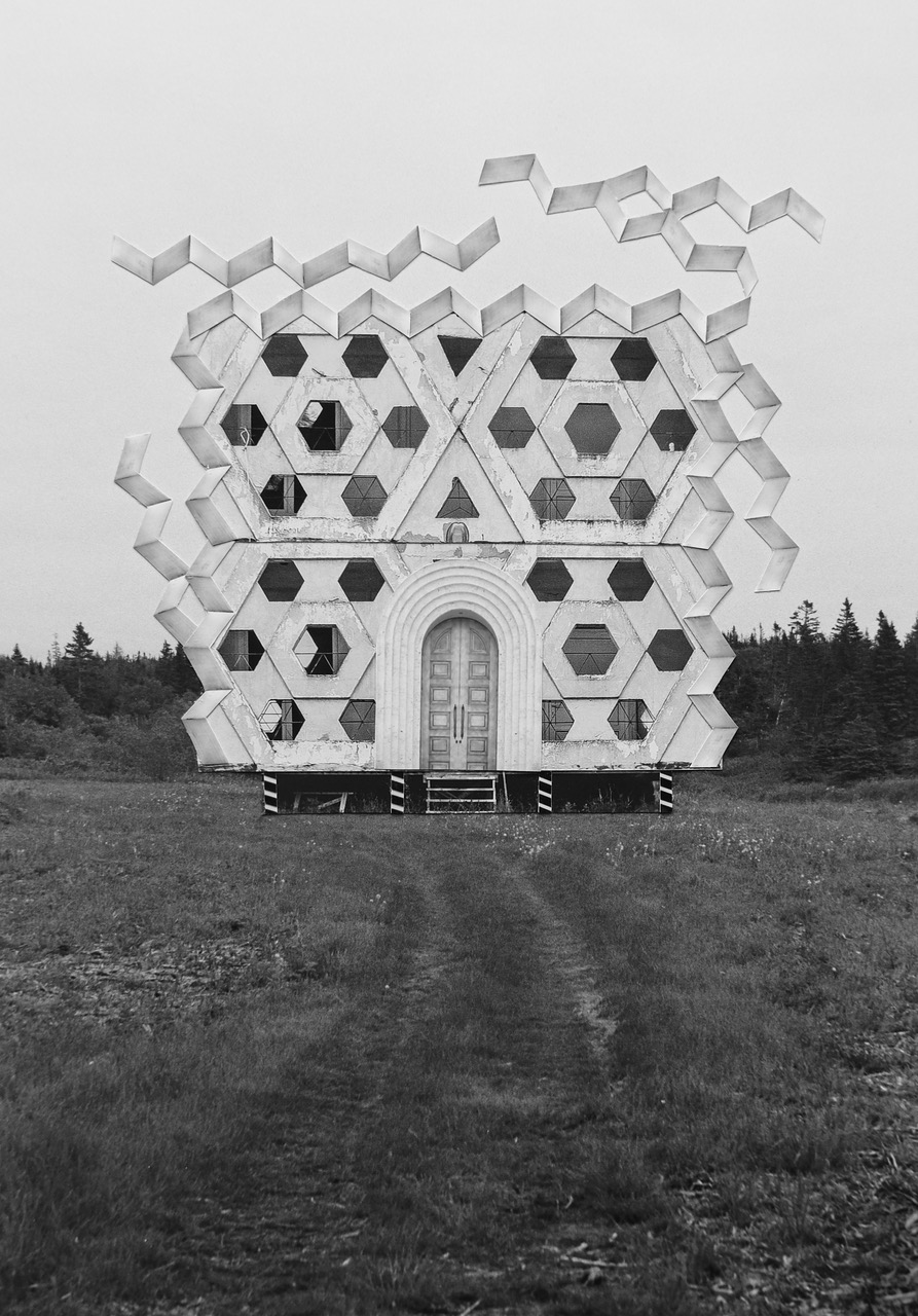 Luke Tarpey | Collé