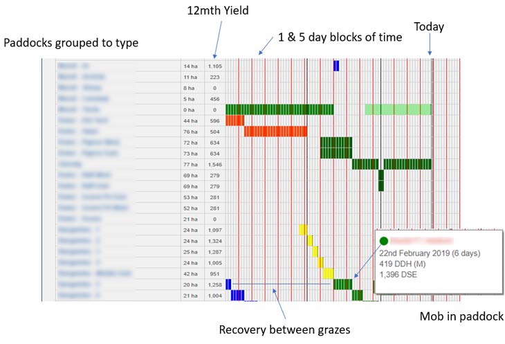 Grazing Chart Guide to Optimize Pastures & Profits [2024]