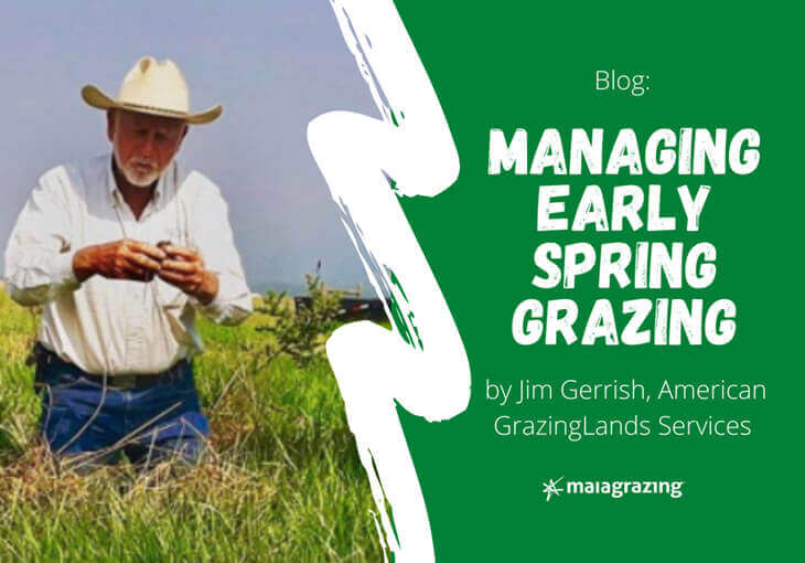 Managing Early Spring Grazing