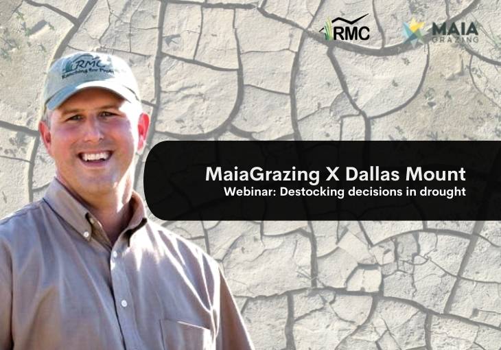 Destocking Decisions in Drought by Dallas Mount