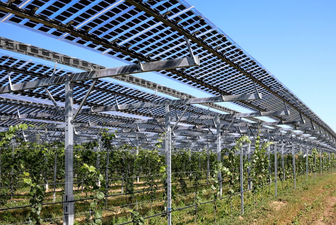 IOTA Energy: Seamlessly integrating agriculture & renewable energy.