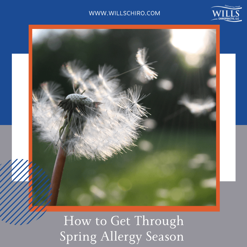 How to Get Through Spring Allergy Season — Wills Chiro