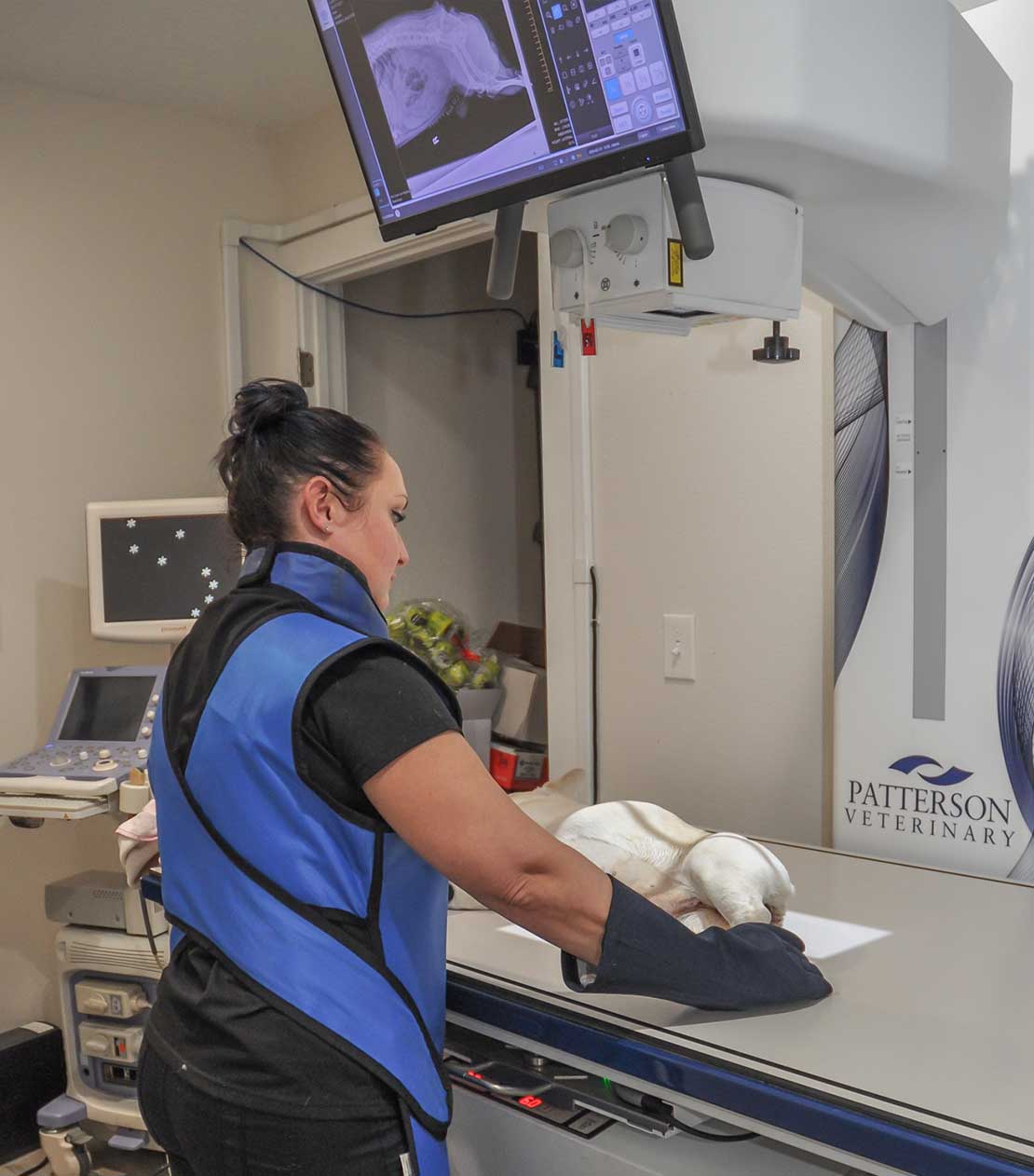 Veterinary Digital Radiology In Lakeland, FL | Pet Care on Highland