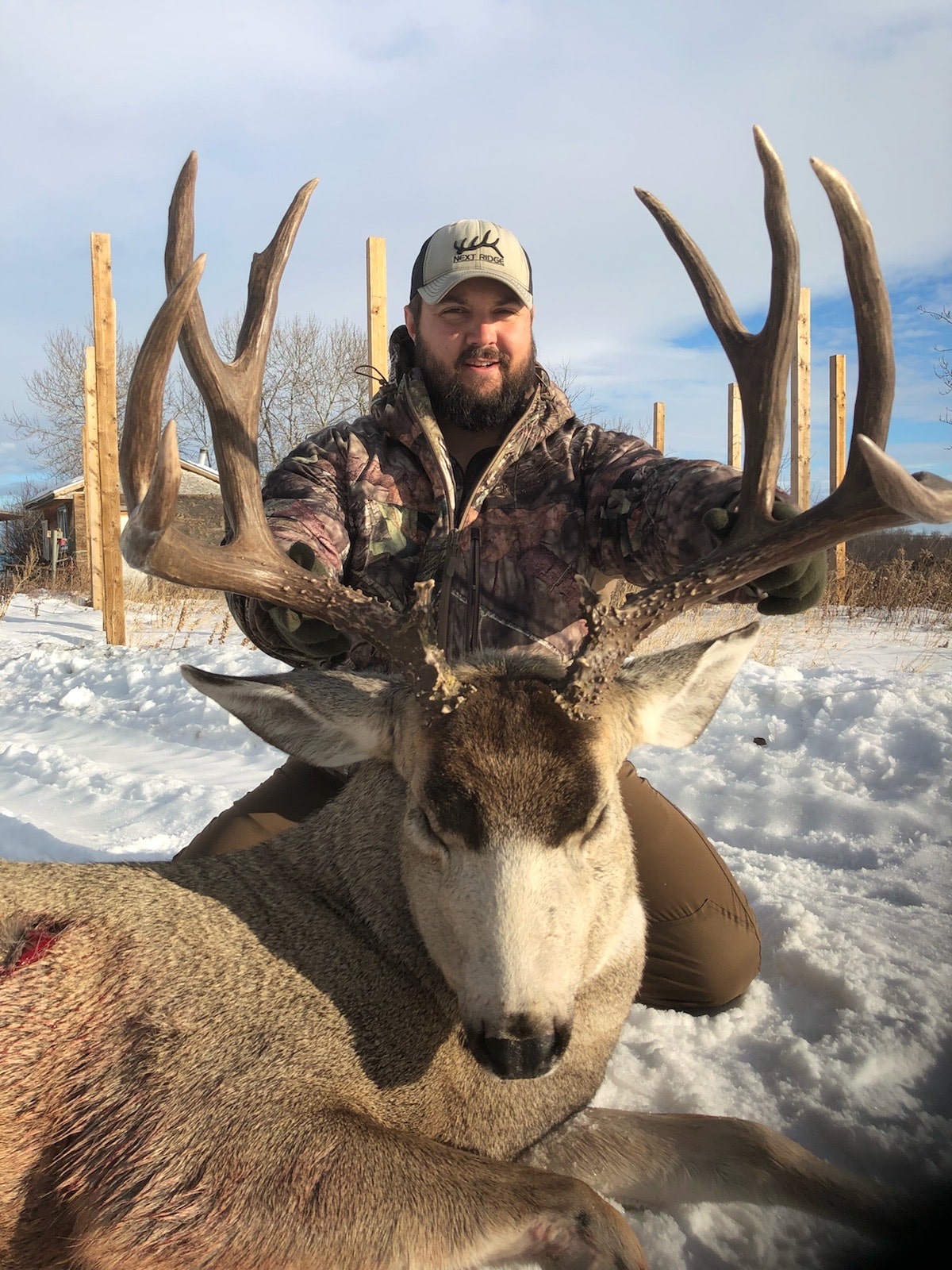 White Tail Deer | Guided White Tail Deer Hunts In Alberta