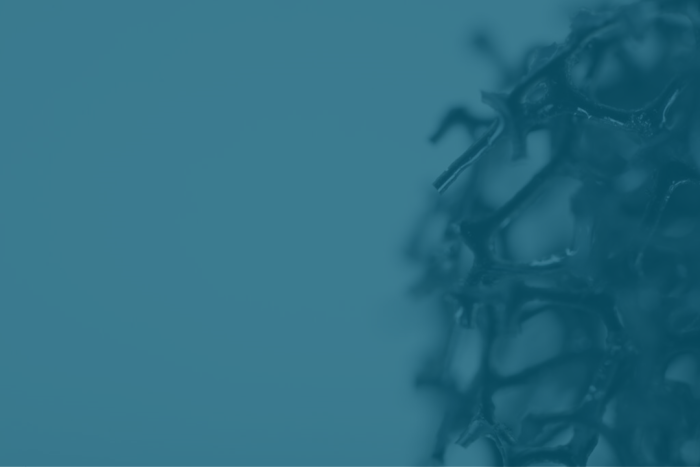 You're invited: Clinical symposium | Cyted