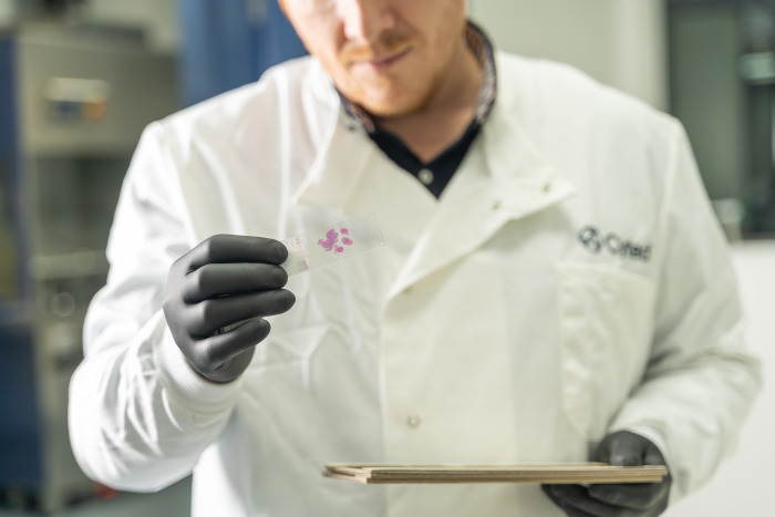 Cyted named one of Britain’s most impressive innovators in Department ...