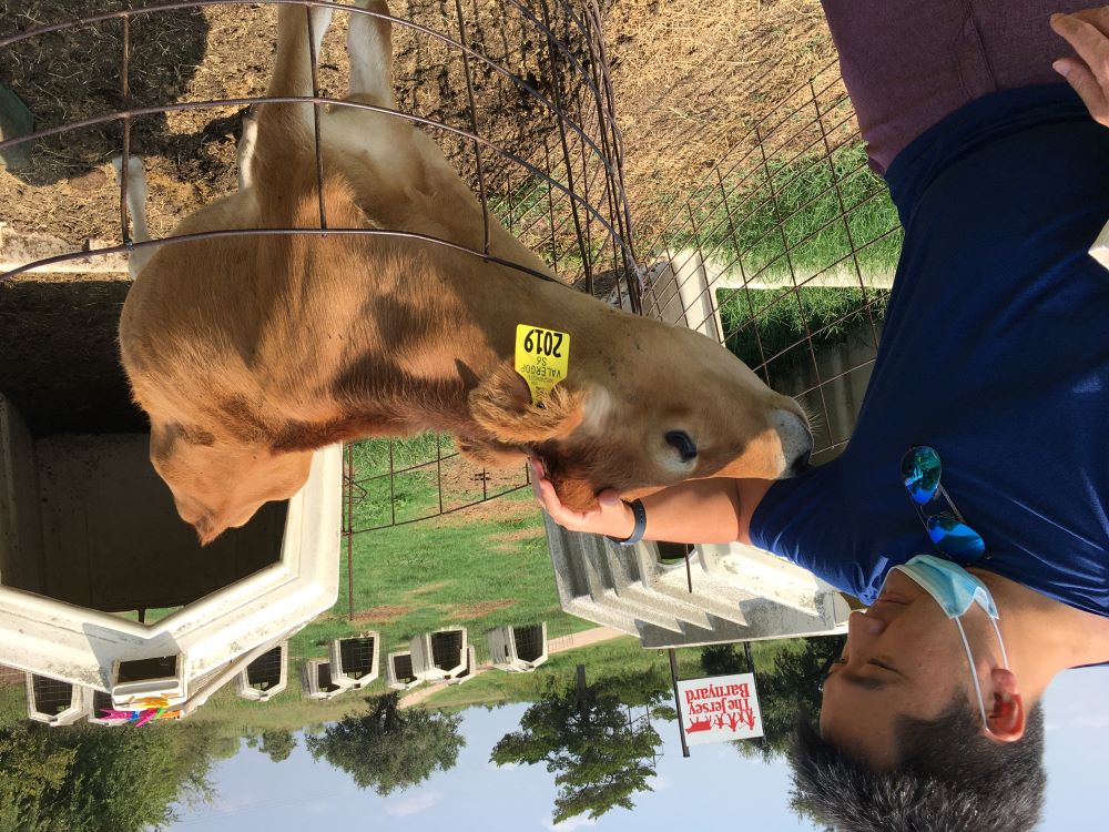 Nuvia Dental Implant Center Doctors