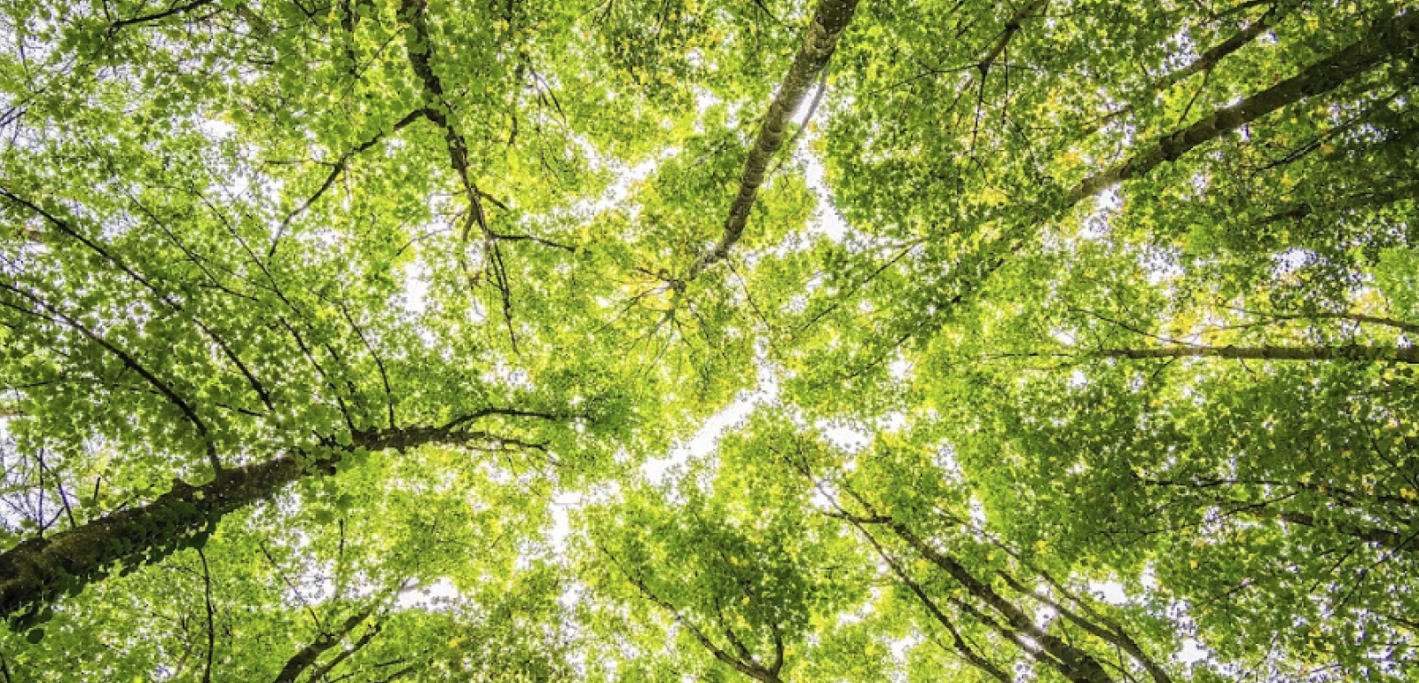 Supersede - Navigating Sustainability: Supersede Marine Board and the ...