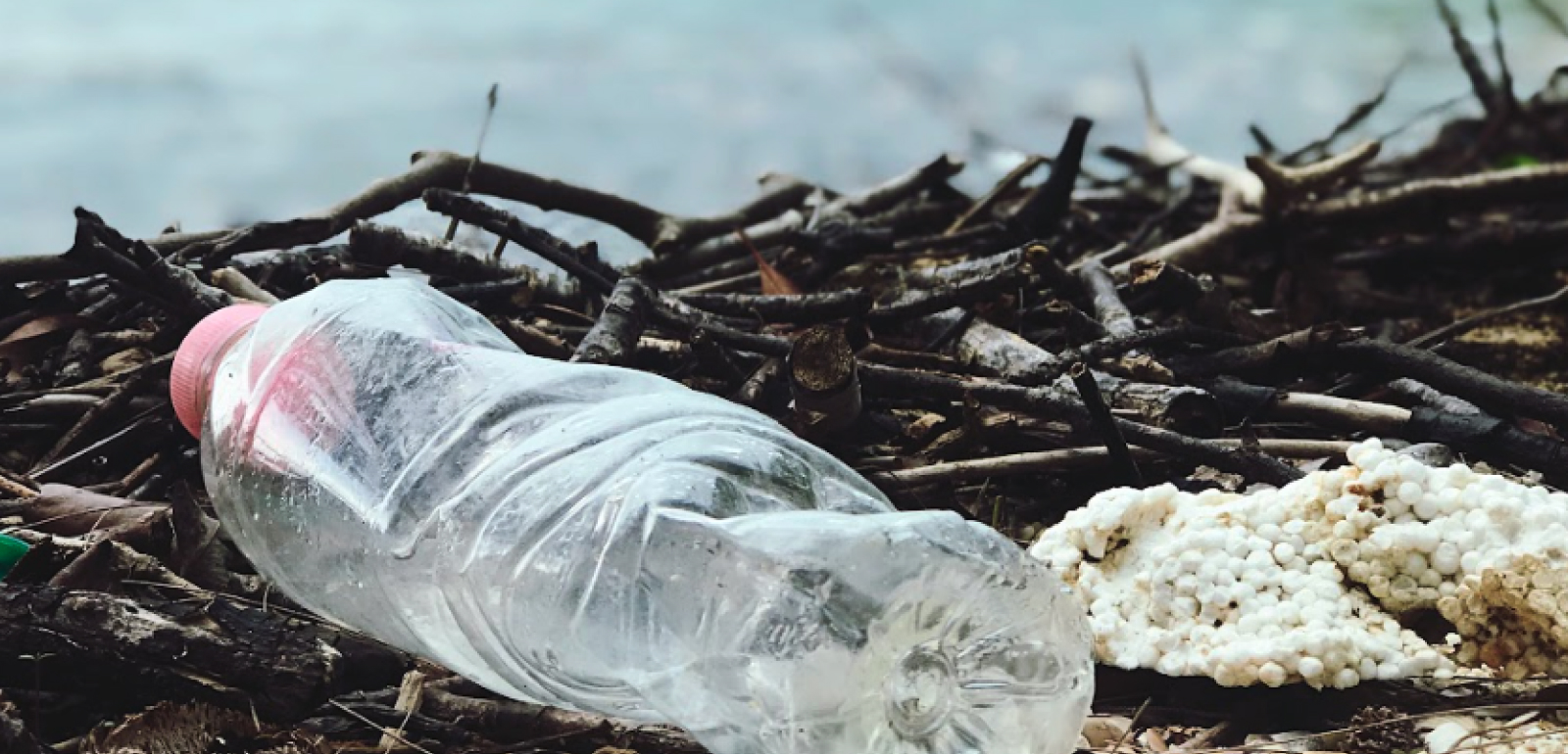 Supersede - Navigating Sustainability: Supersede Marine Board and the ...