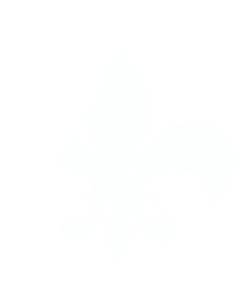 About Blue Knight Security | Chicago's Premier Security Experts