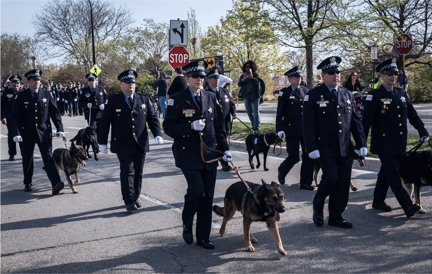 About Blue Knight Security | Chicago's Premier Security Experts