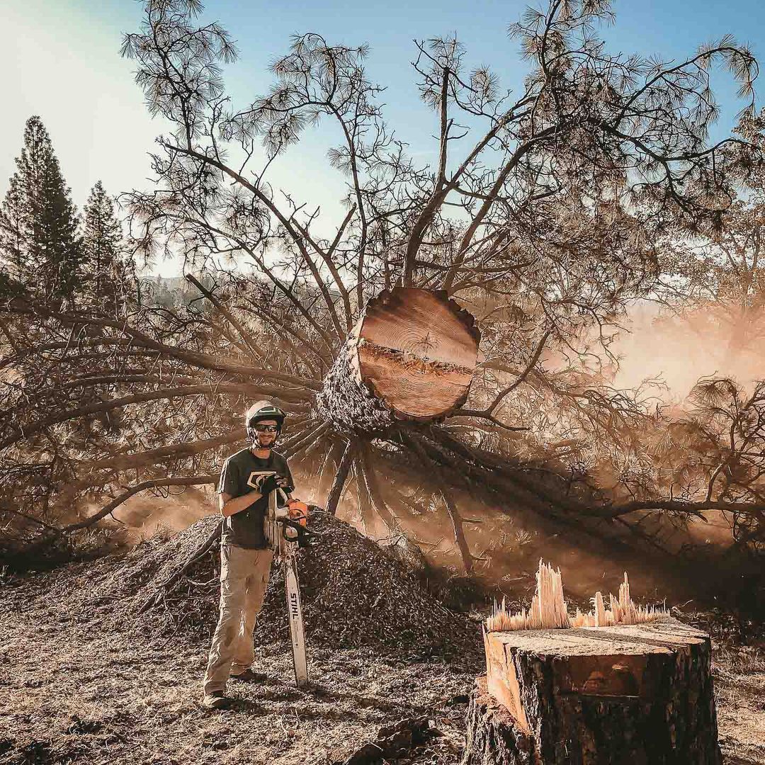 First Impressions Tree Service