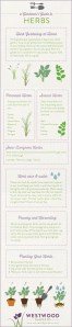 A Guide to Herb Gardening - Westwood Gardens