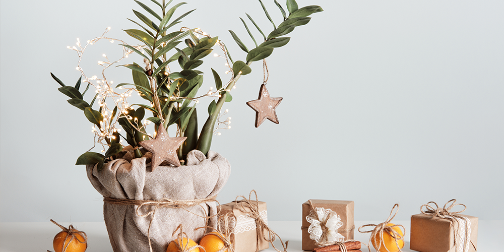 How to Giftwrap a Houseplant - Westwood Gardens