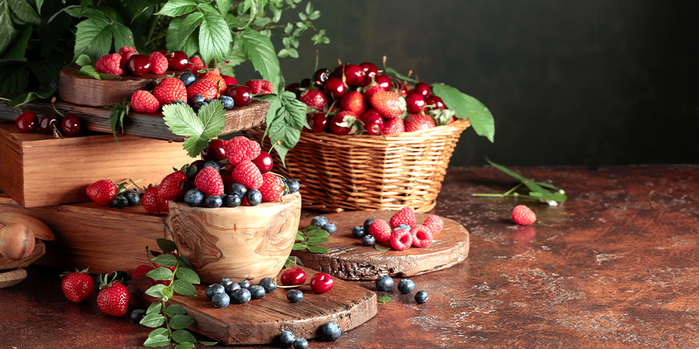 The Best Berry Shrubs for Arkansas Gardens - Westwood Gardens