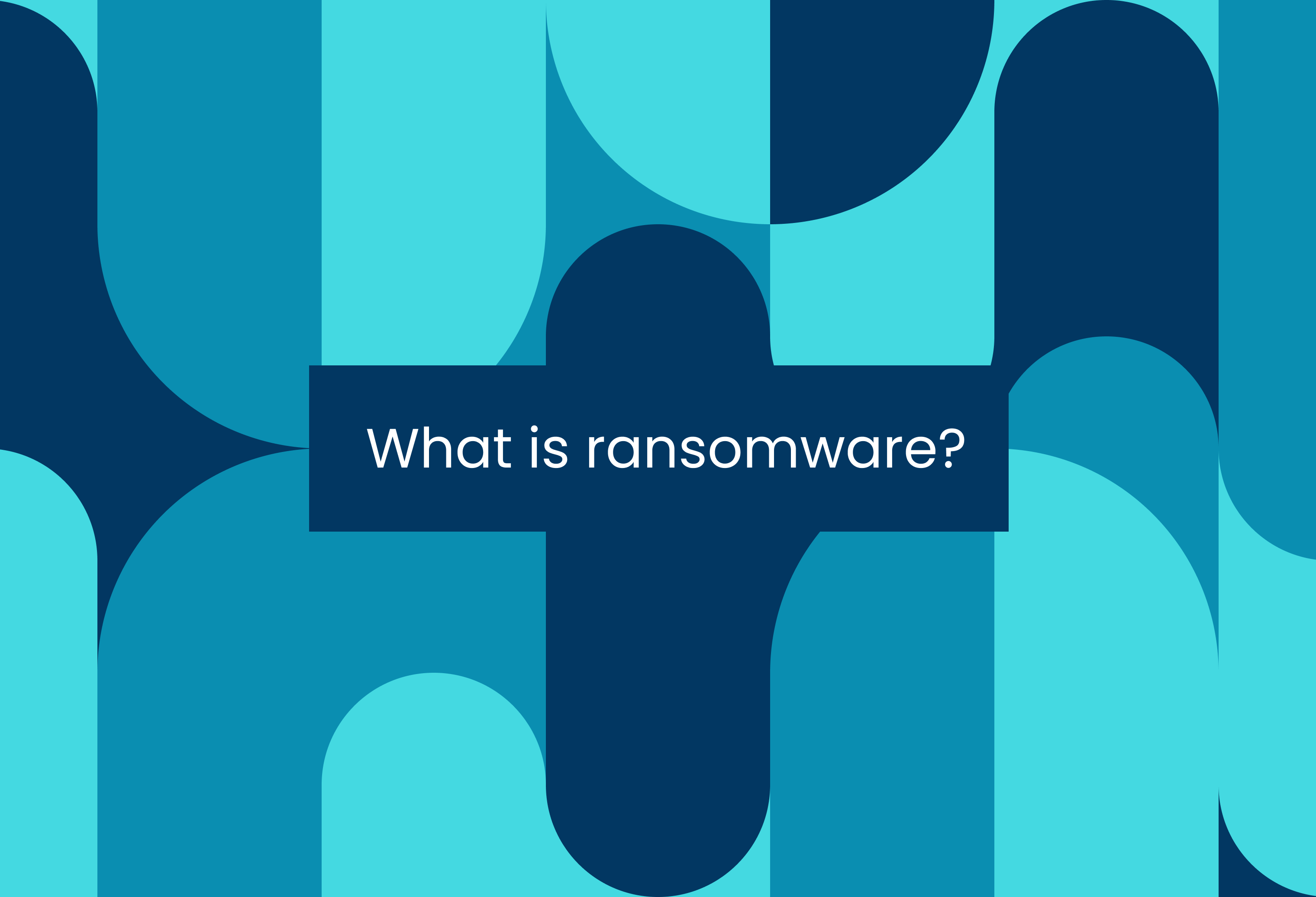 What is ransomware?