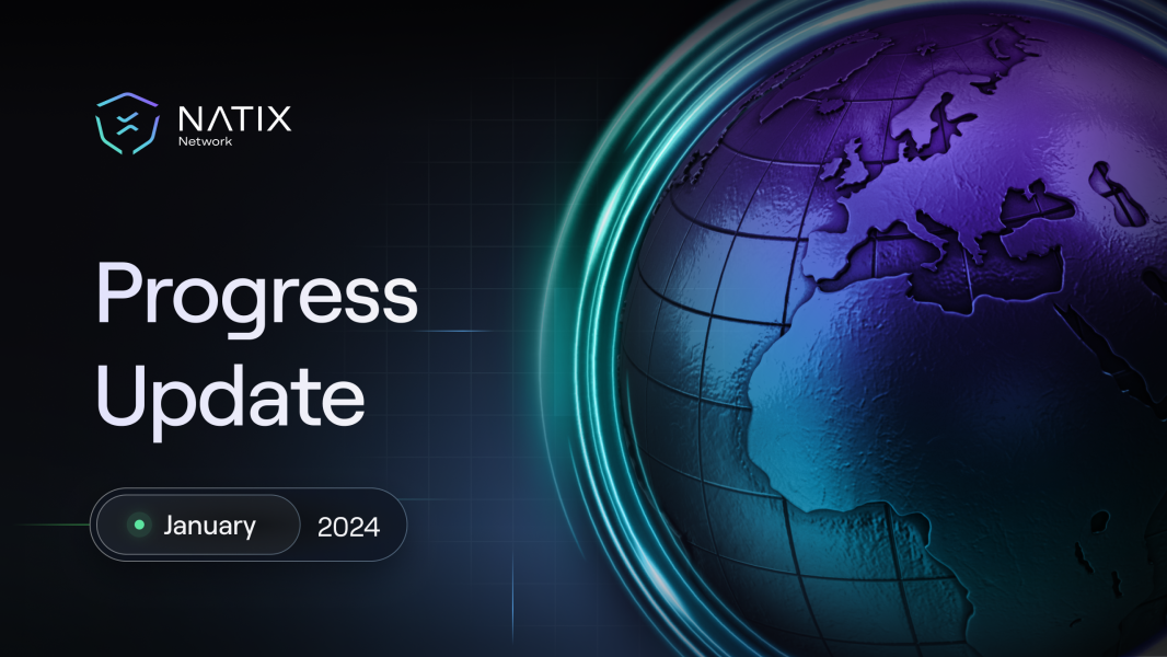 Progress Update: NATIX Network January 2024