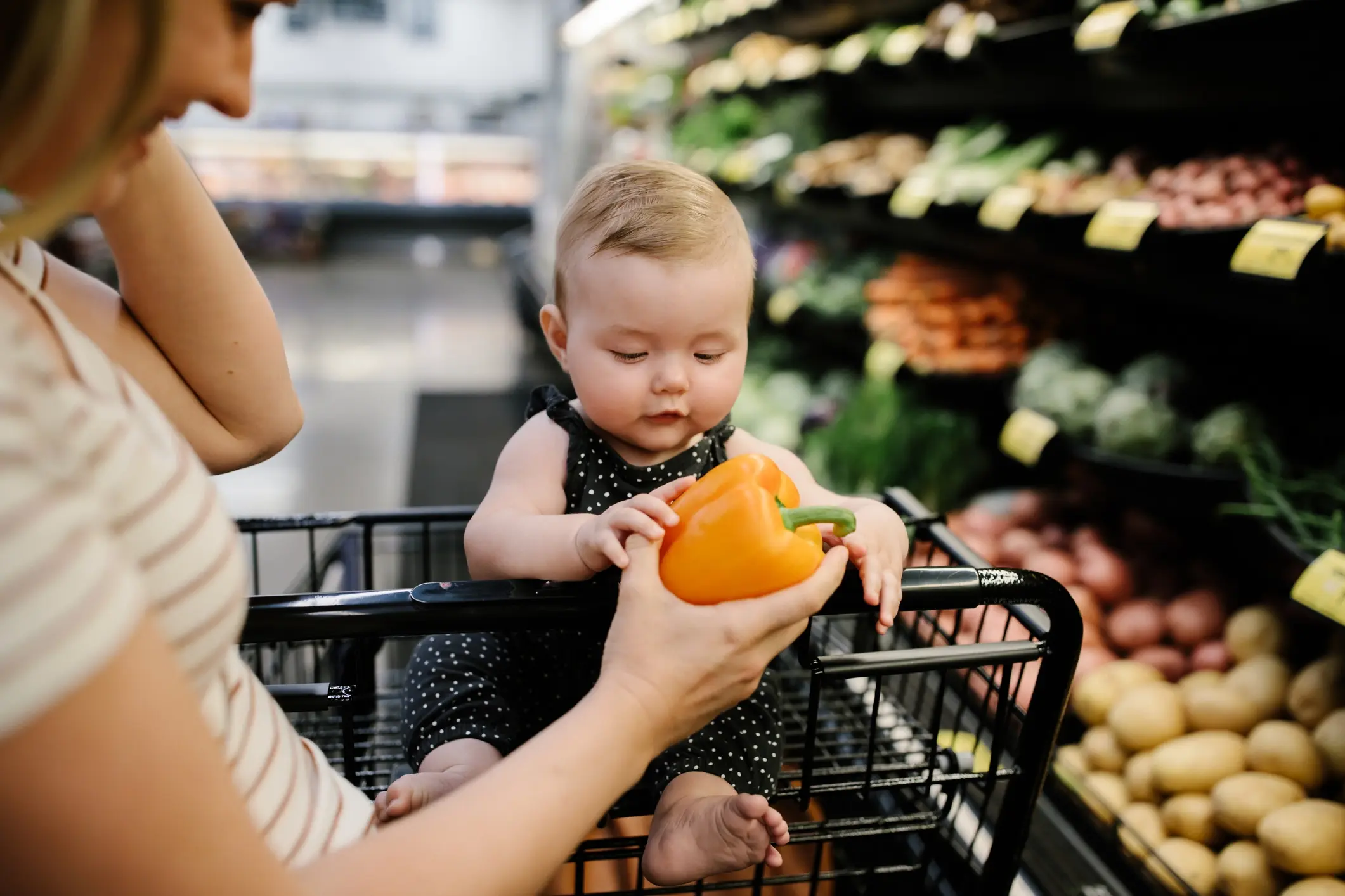 Maternity Ecosystem
