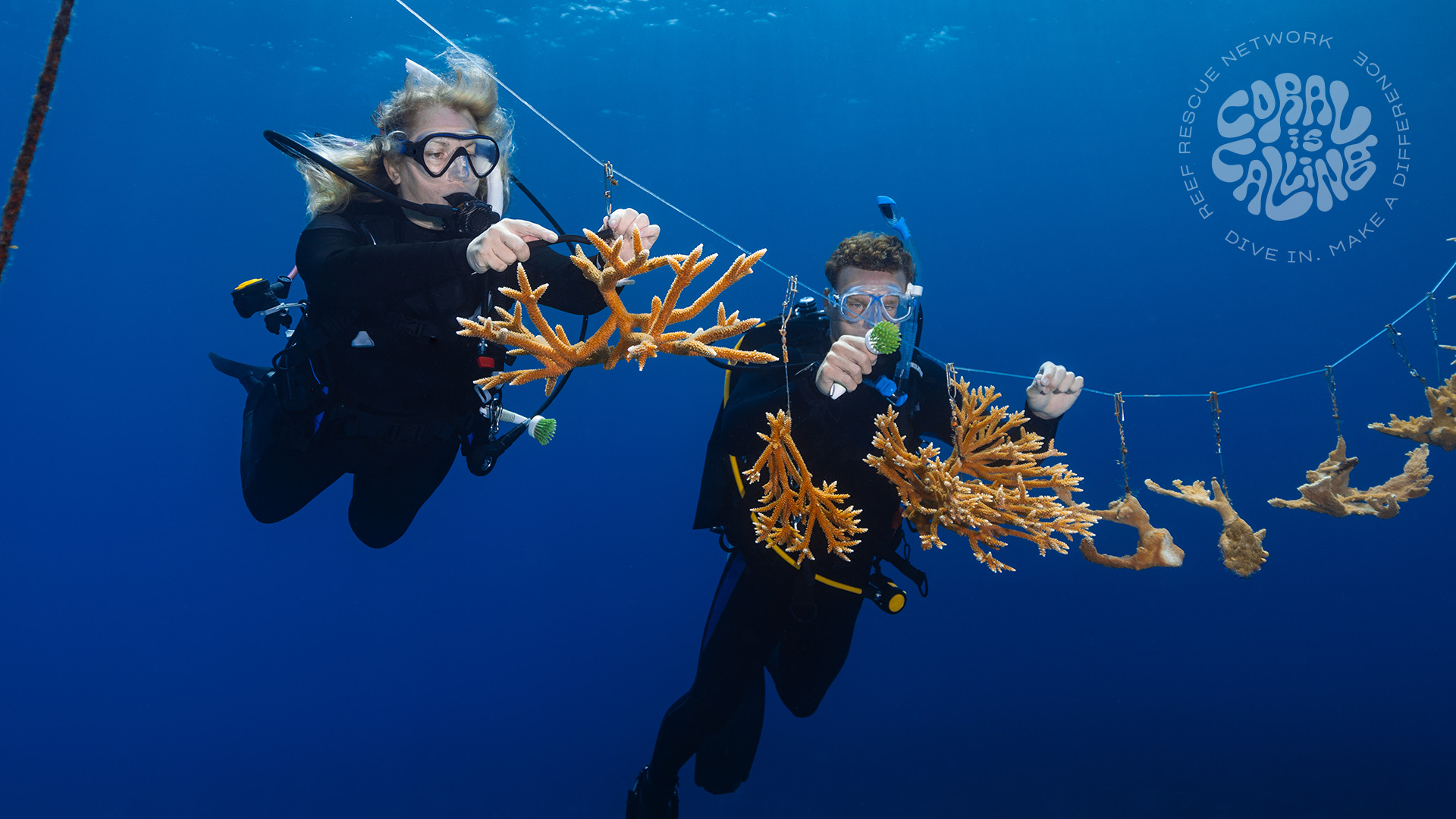 About | Reef Rescue Network