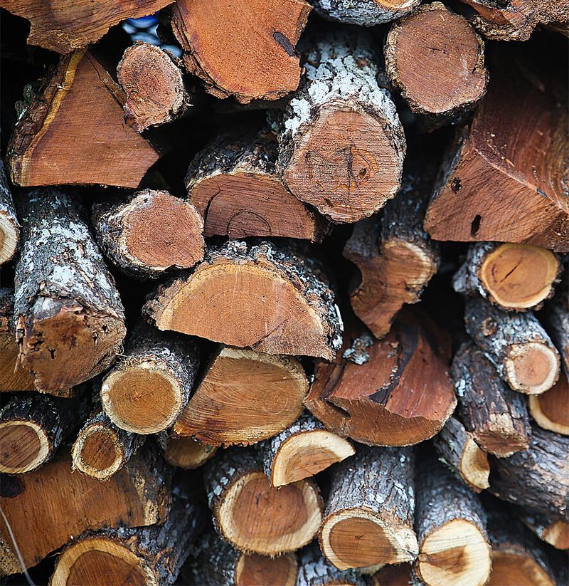 Our Story | Woodshed Smokehouse in Fort Worth, TX