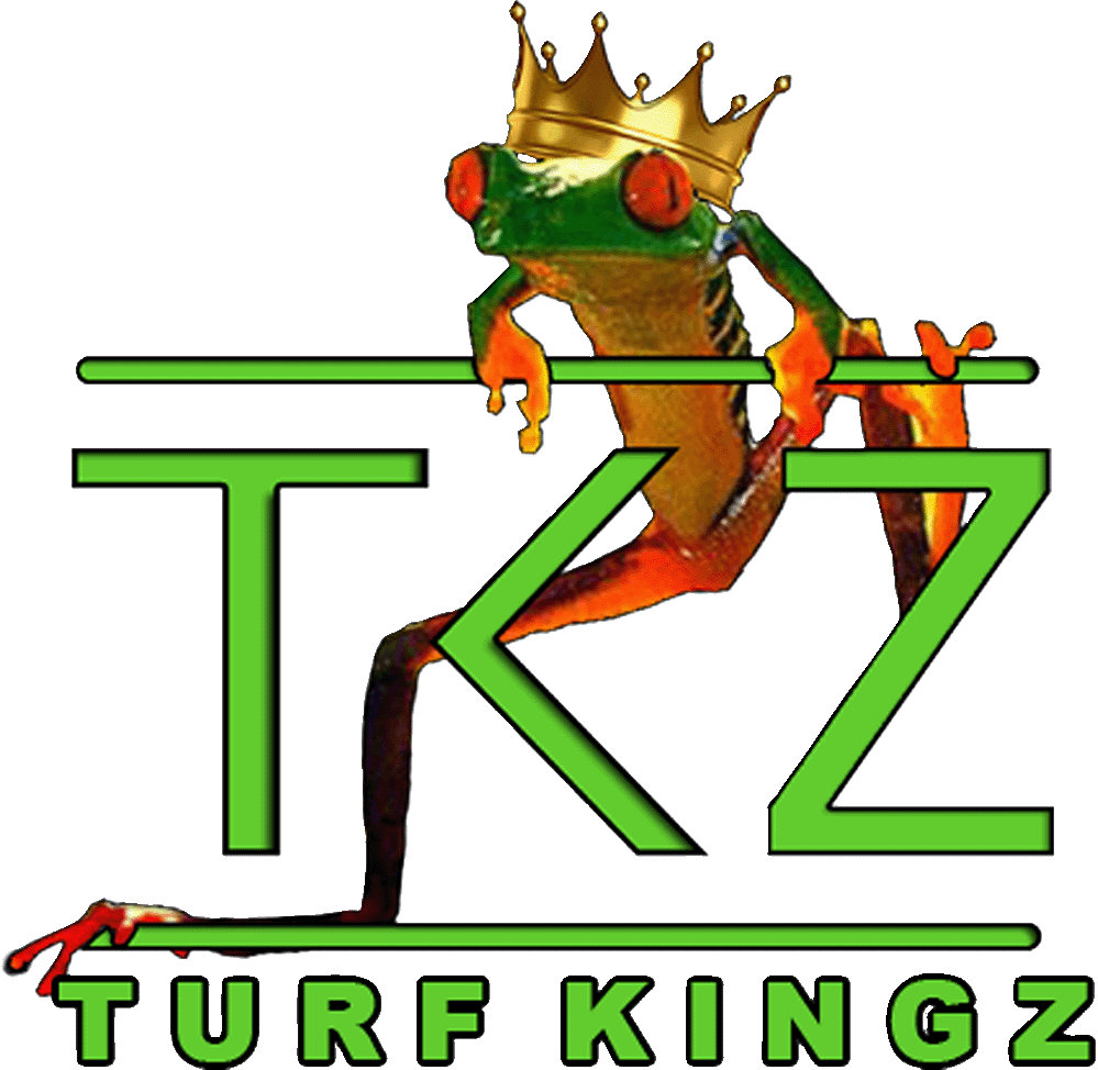 Turf Kingz Factory Direct Artificial Turf And Remnants For Sale