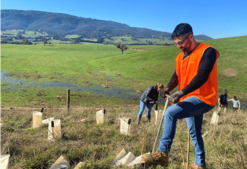 Working with Us | Renascent