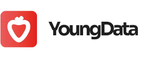 YoungData - Agence spécialisée sur la suite Microsoft Power Platform