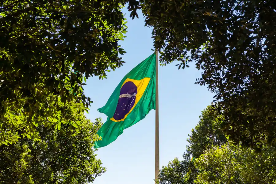 Exploring the Brazilian Market: Size, Characteristics, and Risks