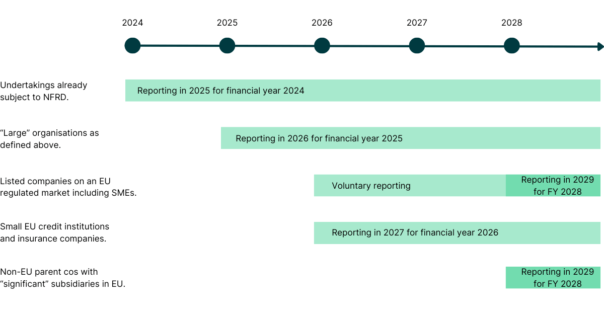 A detailed explanation of the CSRD eligibility criteria