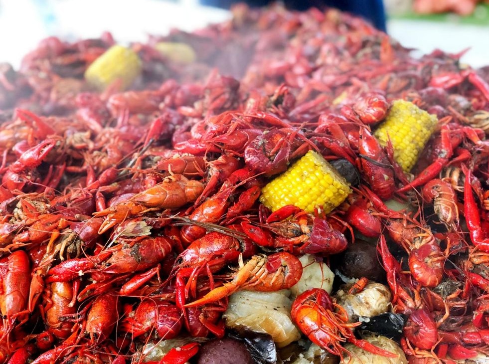 Home | Hot Tails Crawfish & Seafood