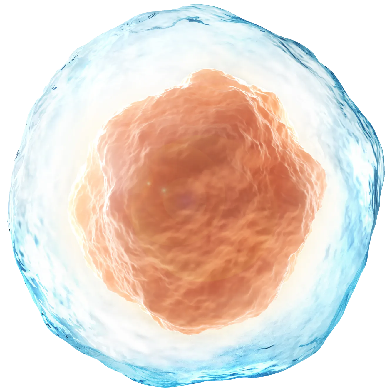 Treating Diseases of Aging