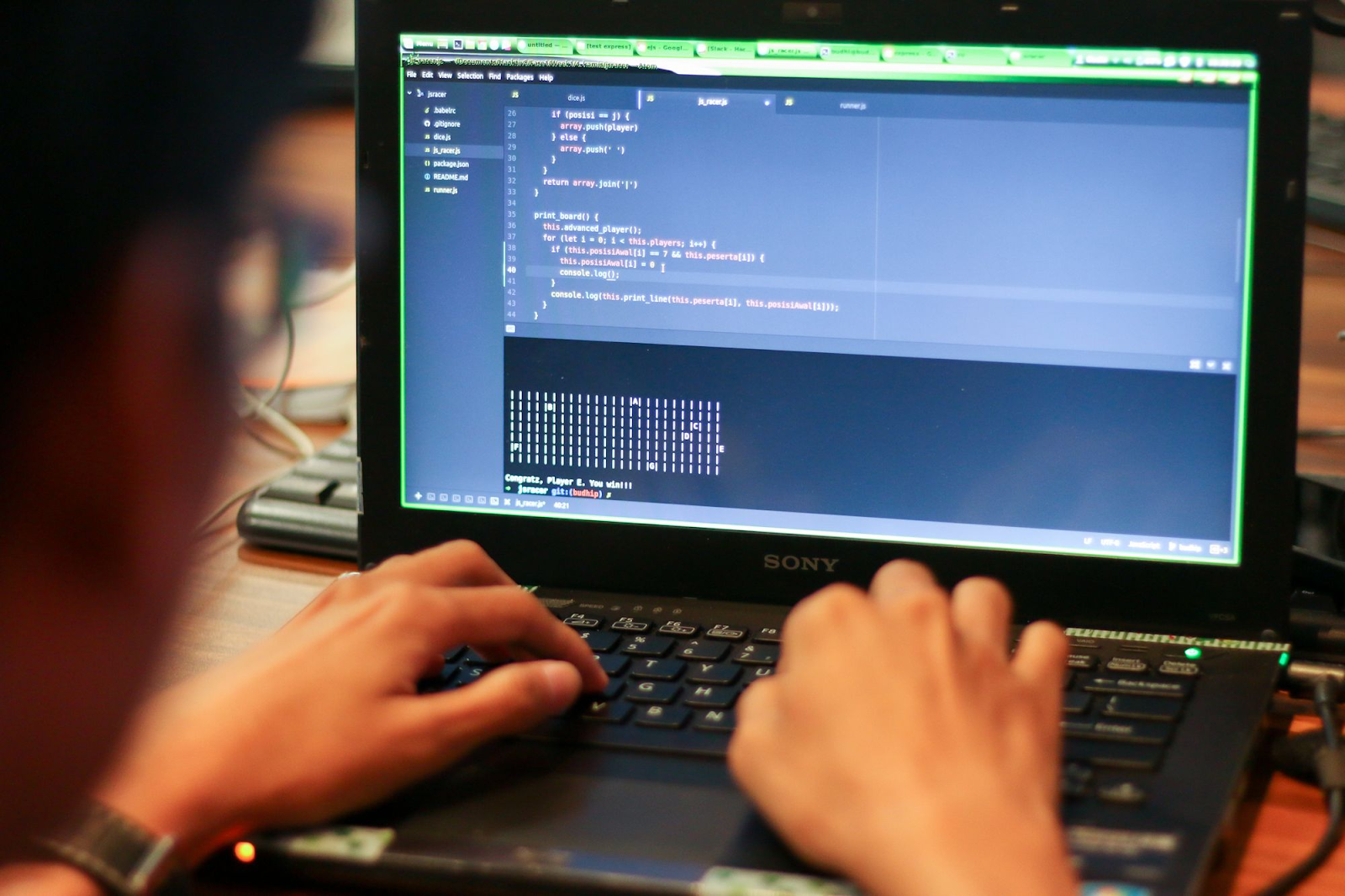 Programming. Worth it or Not?