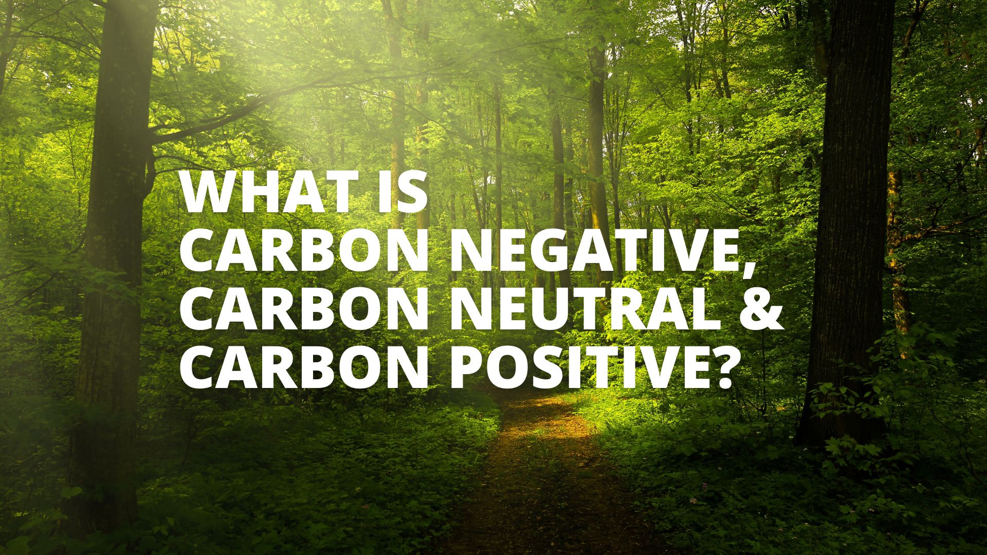 What is carbon negative, neutral and positive and how do you achieve them?