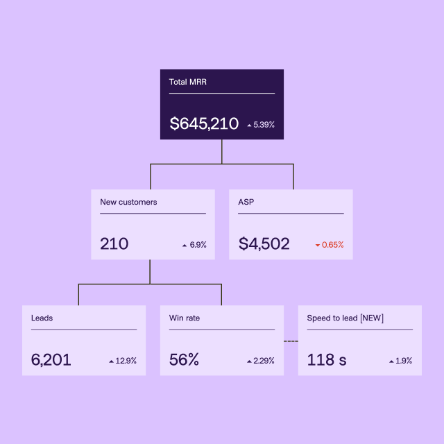 About Us | Levers Labs