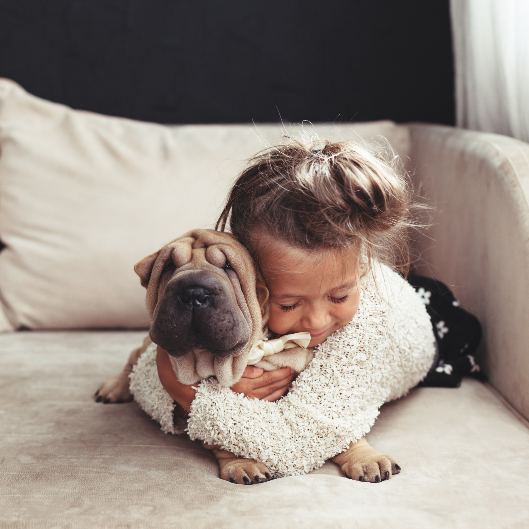 Hamilton/Burlington SPCA | An Animal Welfare Charity