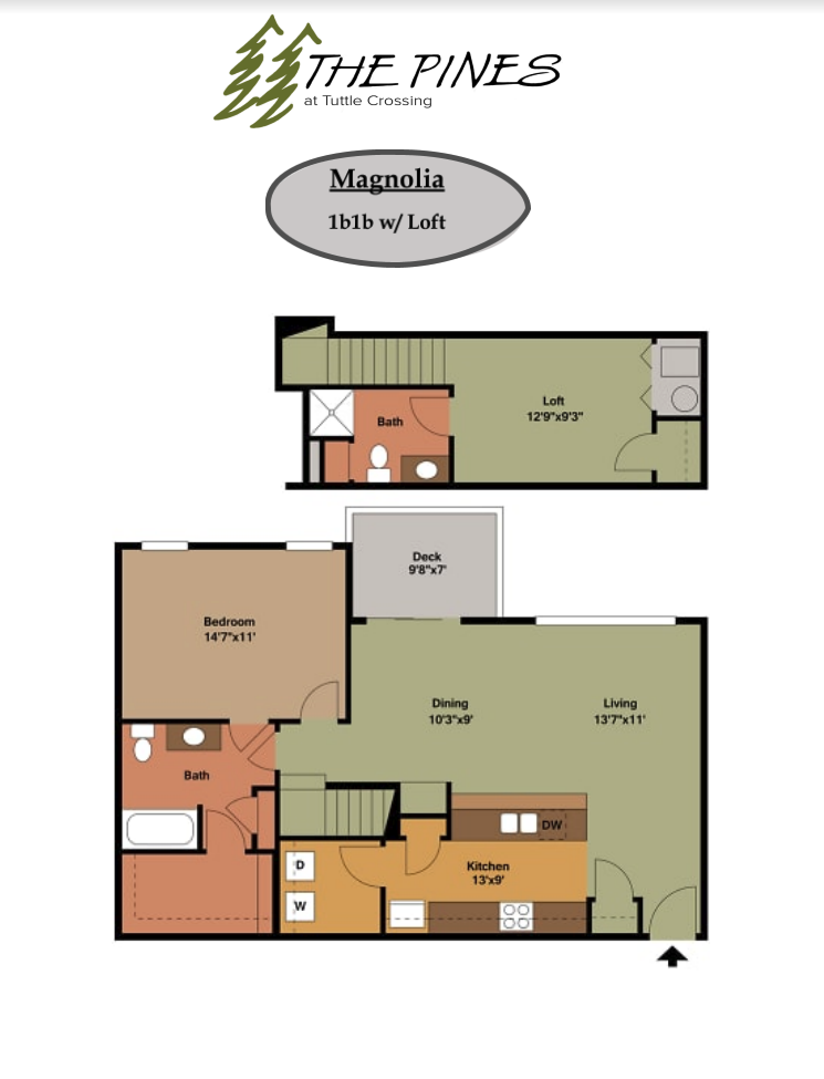 Magnolia | Floor Plans | The Pines at Tuttle Crossing