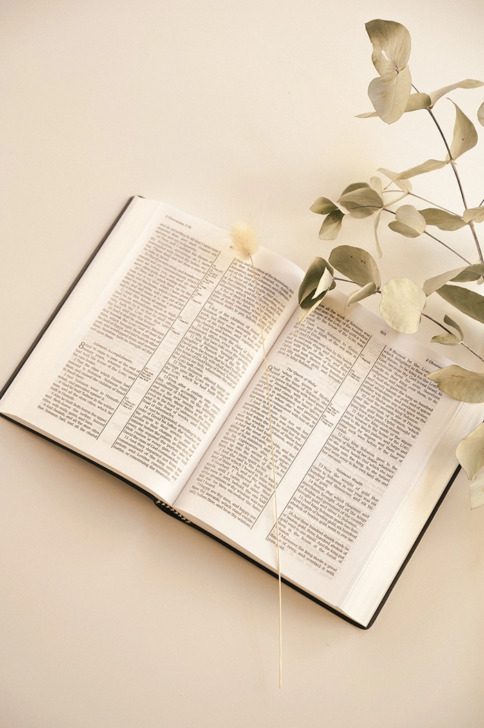 Rhapsody Of Realities Devotional Study Bible – Burgundy – Rhapsody Bibles