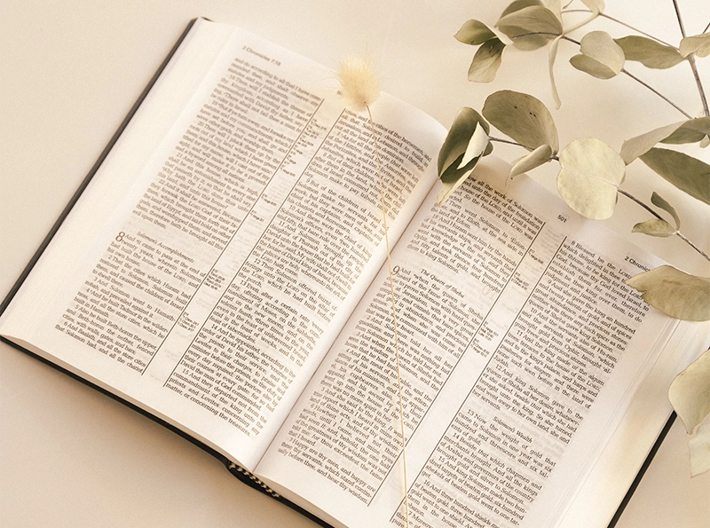 Rhapsody Of Realities Devotional Study Bible – Black – Rhapsody Bibles