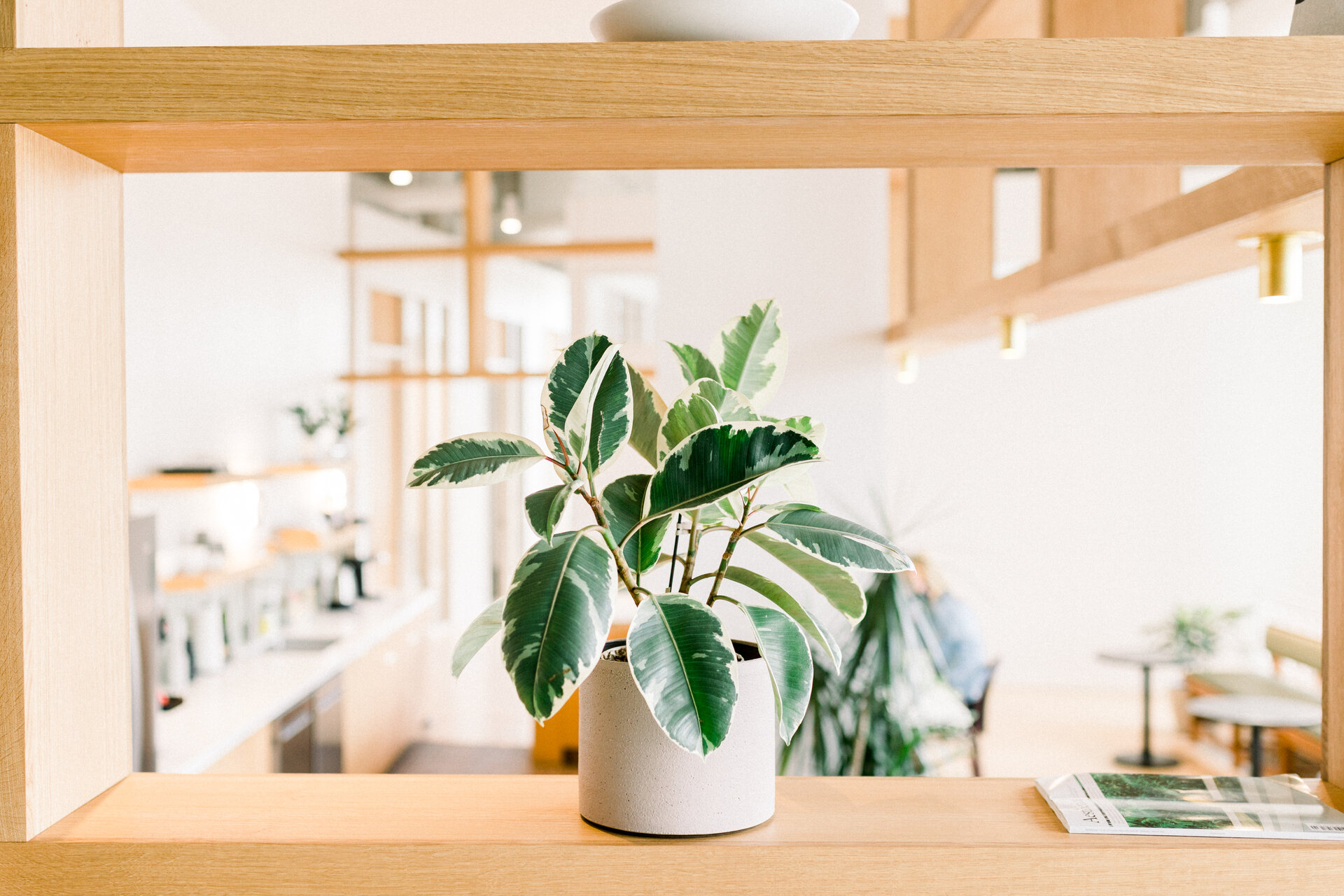 Coworking Space & Private Offices in Shaker Heights - Ao Office