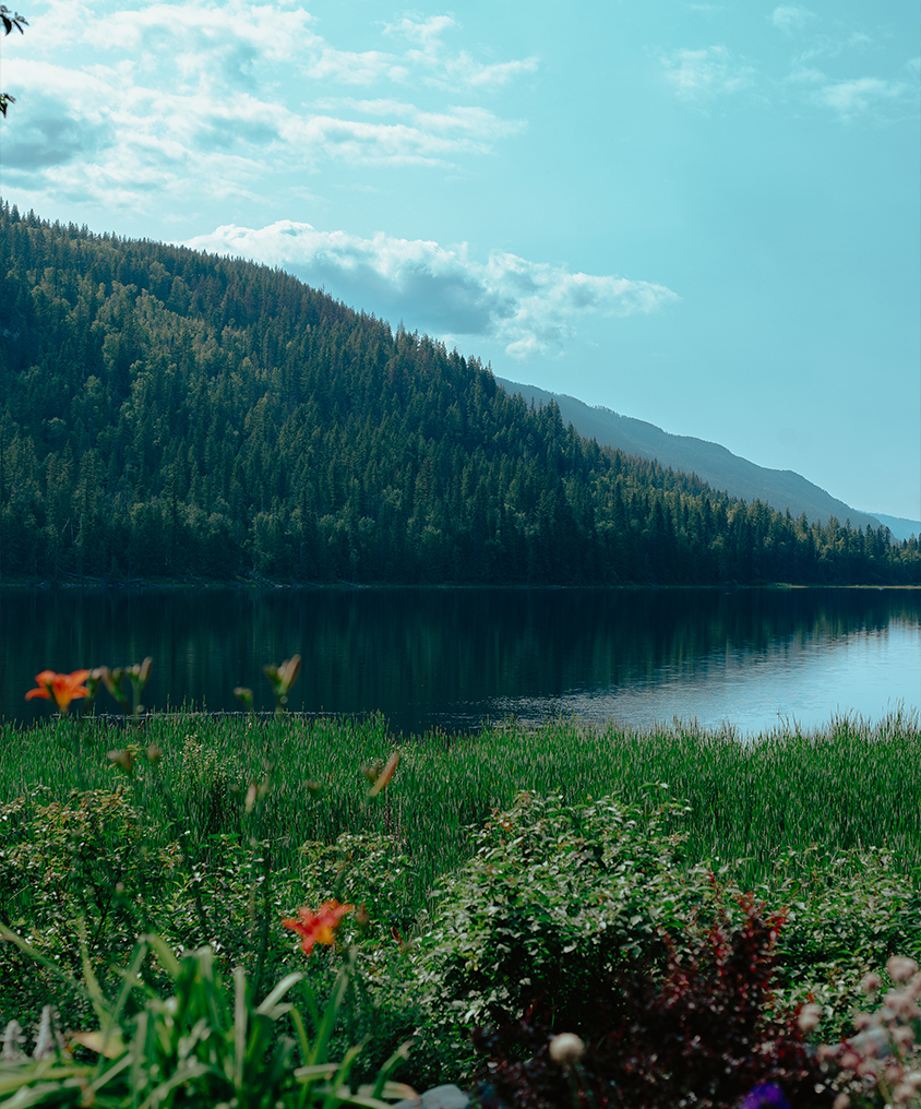 Alpine Meadows Lakeside Resort