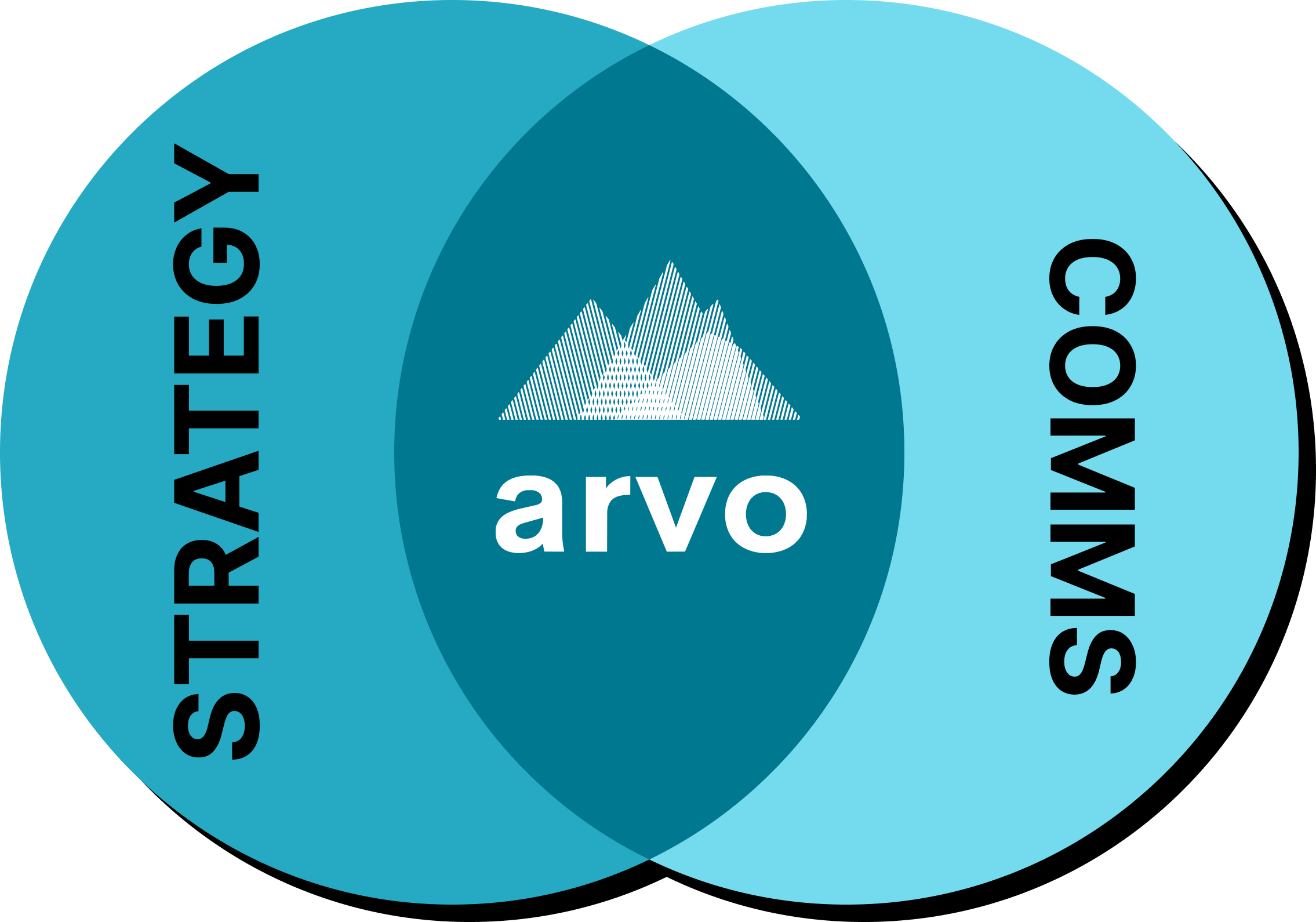 Arvo Advisory - Strategy & Story