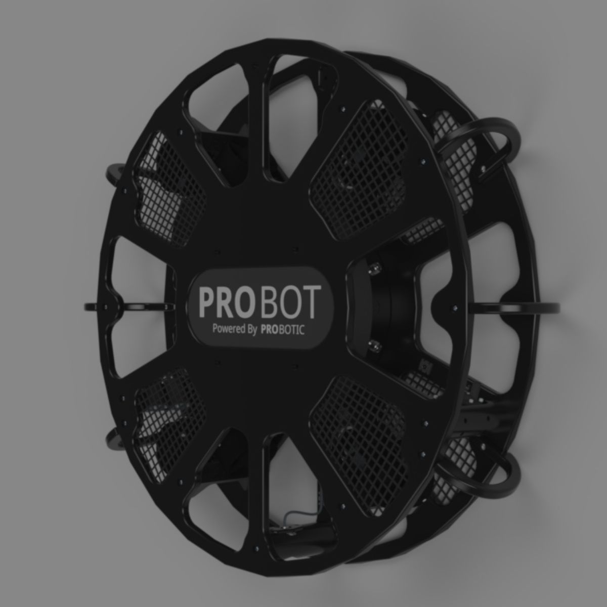 PROBOT — Profesjonelle Roboter for Havbruksnæringen
