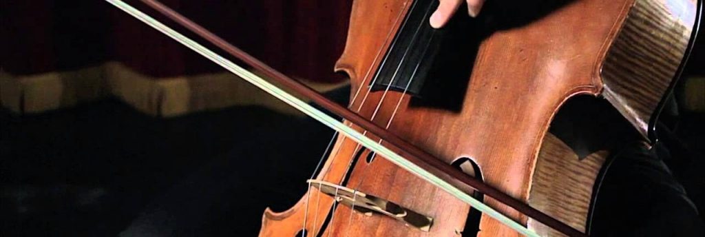 String Family Characteristics | Evenant