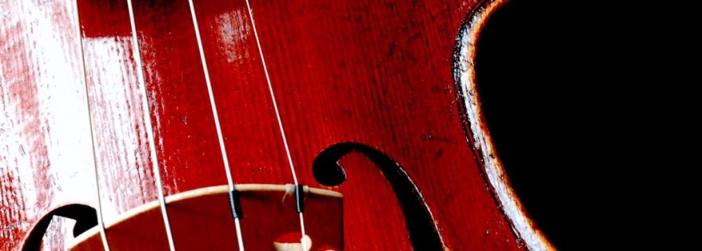 String Family Characteristics | Evenant