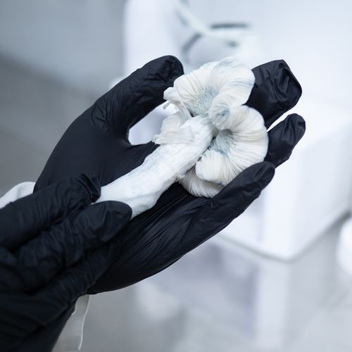 MSICS pharma - Psilocybin pioneers