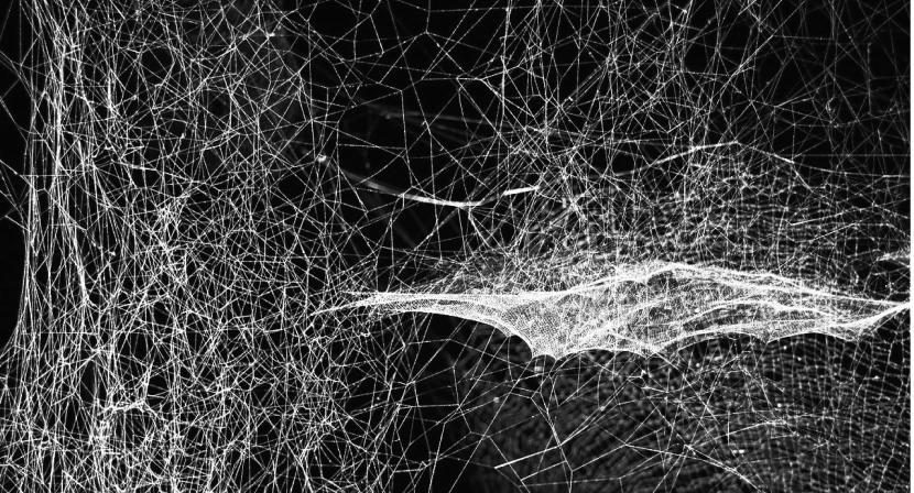 Virta Ventures • About